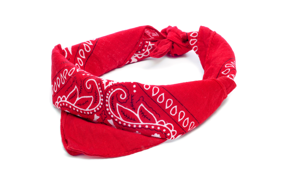 5 essential Bake-wear items required in your Bakery Kitchen – Baking ...